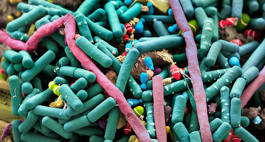 Evolution of a different kind | Brian's comments